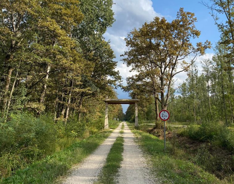 Hrast lužnjak i tradicija Turopolja: Saznajte sve važnosti na Okruglom ...